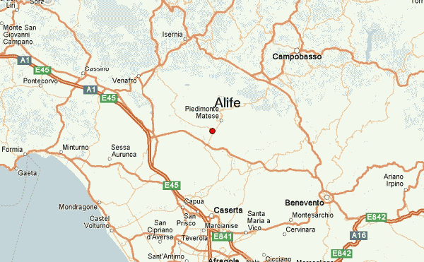 Alife Weather Forecast
