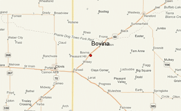 Bovina Weather Forecast