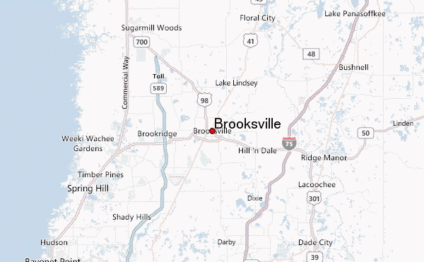 Brooksville Weather Forecast