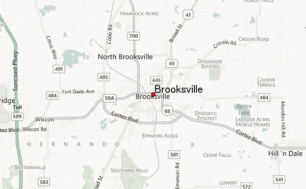 Brooksville Weather Forecast