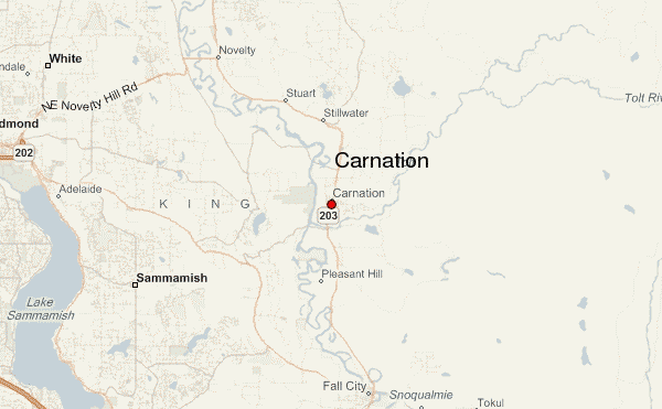Carnation Weather Forecast