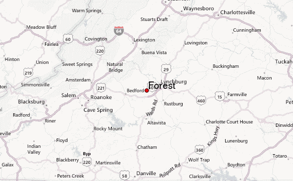 Forest Weather Forecast