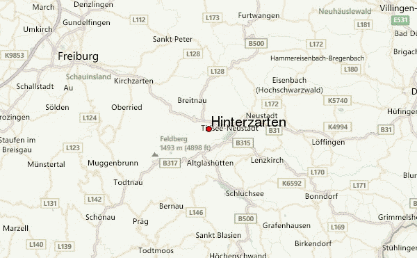 Hinterzarten Weather Forecast