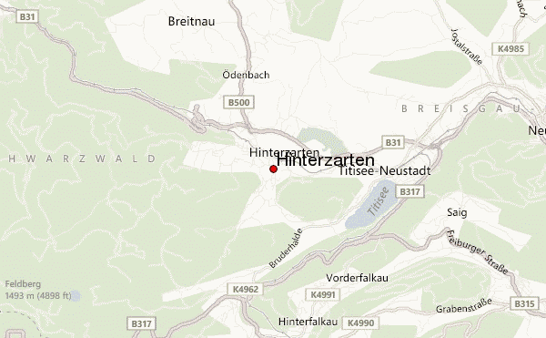 Hinterzarten Weather Forecast