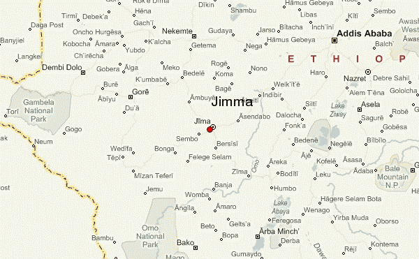 Jimma - JungleKey.com Wiki