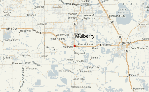 Mulberry, Florida Weather Forecast