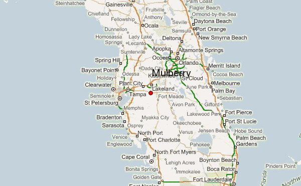 Mulberry, Florida Weather Forecast