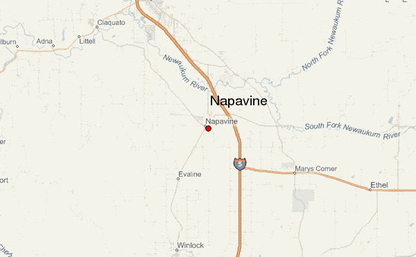 Napavine Weather Forecast