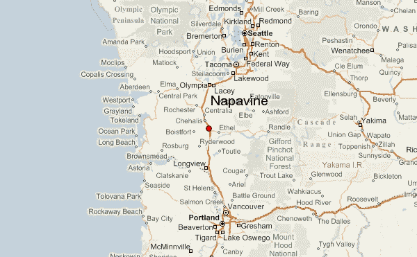 Napavine Weather Forecast