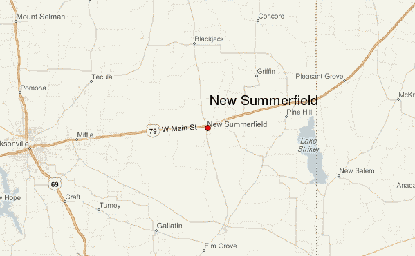 New Summerfield Weather Forecast