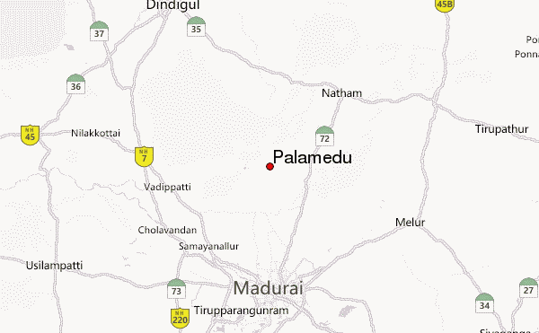 Palamedu Weather Forecast