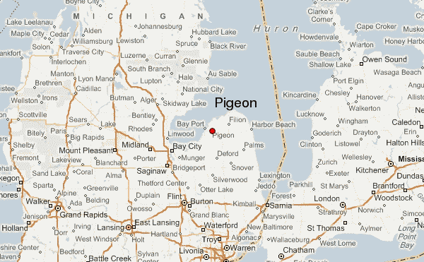 Pigeon Weather Forecast