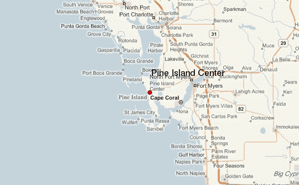 Pine Island Center Weather Forecast