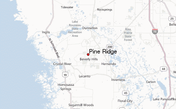 Pine Ridge Weather Forecast