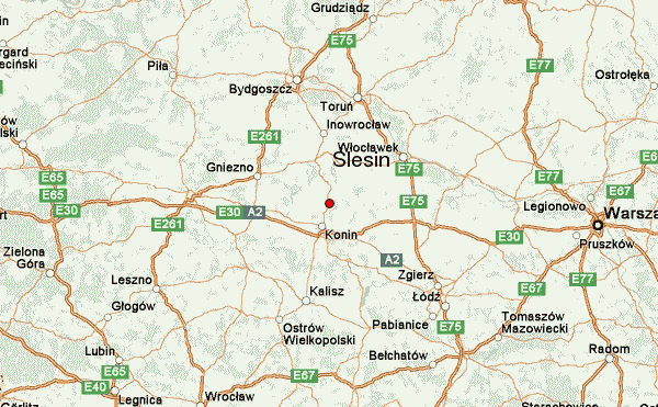 Ślesin Weather Forecast