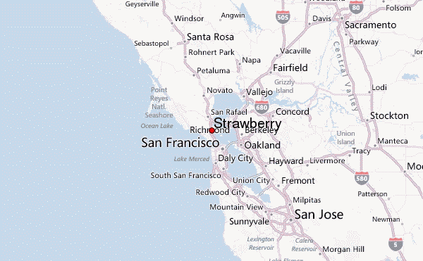 Strawberry Weather Forecast