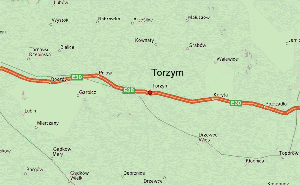 Torzym Weather Forecast