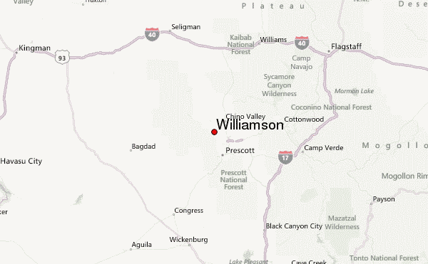Williamson Weather Forecast