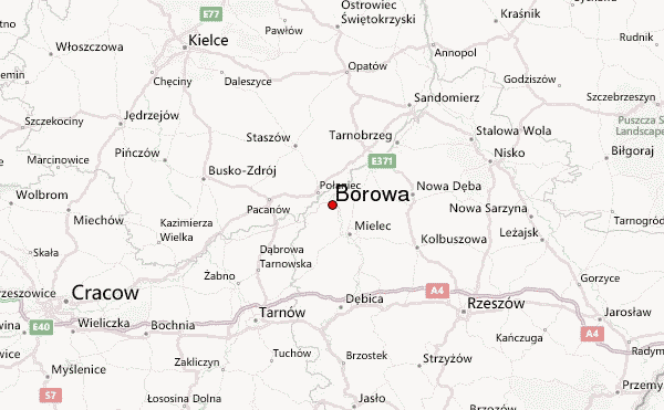 Borowa Weather Forecast