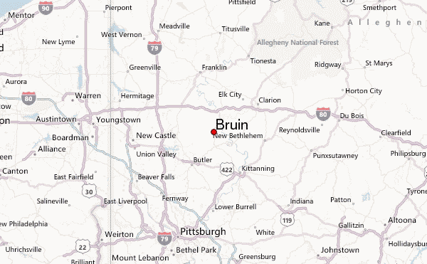 Bruin Weather Forecast