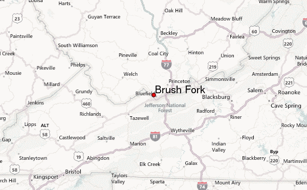 Brush Fork Weather Forecast