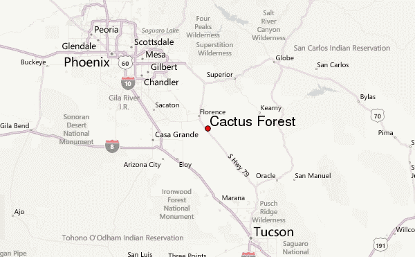 Cactus Forest Weather Forecast