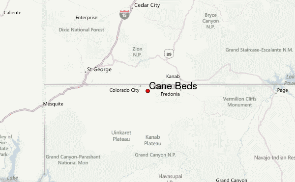 Cane Beds Weather Forecast