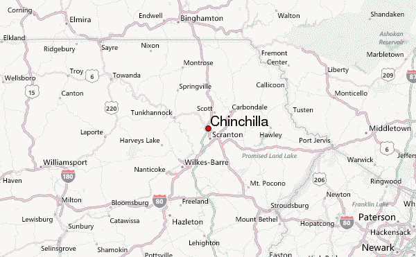 Chinchilla Weather Forecast