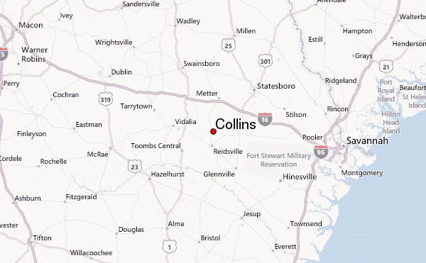 Collins, Georgia Weather Forecast