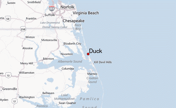 Duck Weather Forecast