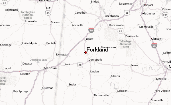 Forkland Weather Forecast