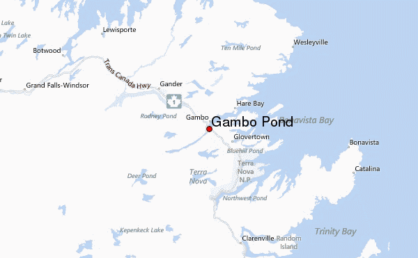 Gambo Pond Weather Forecast