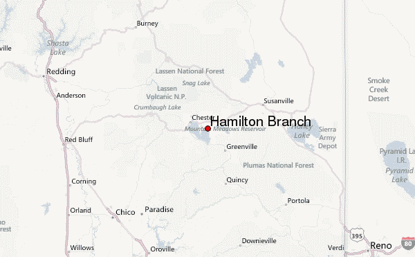 Hamilton Branch Weather Forecast