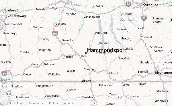 Hammondsport Weather Forecast