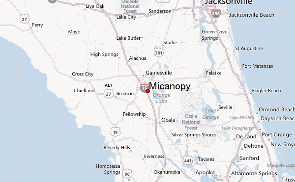 Micanopy Weather Forecast