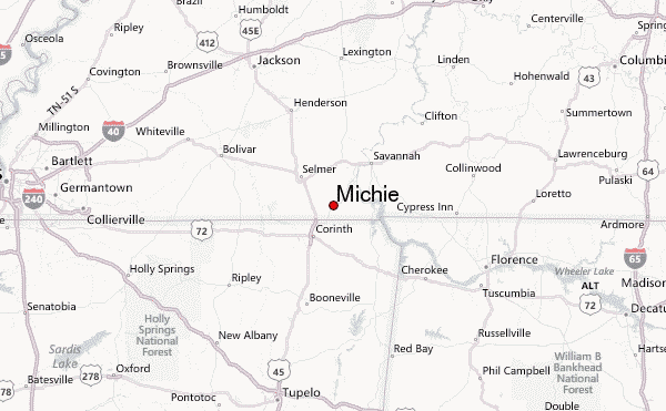 Michie Weather Forecast