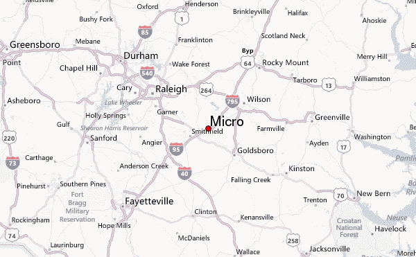 Micro Weather Forecast