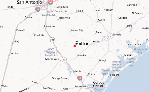 Pettus Weather Forecast
