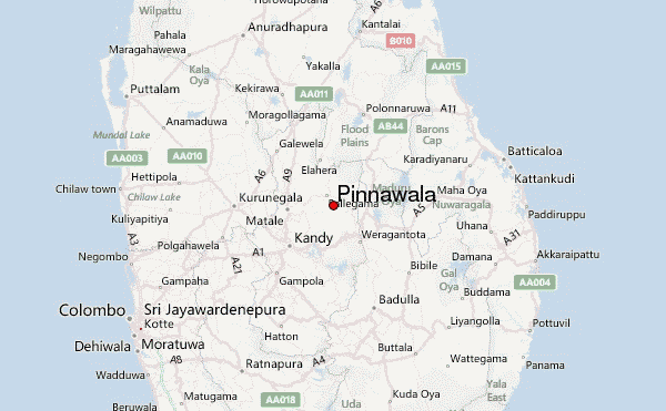 Pinnawala Weather Forecast