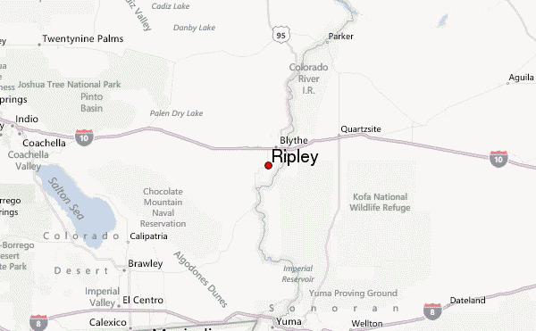 Ripley, California Weather Forecast