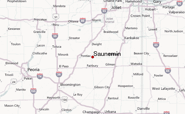 Saunemin Weather Forecast