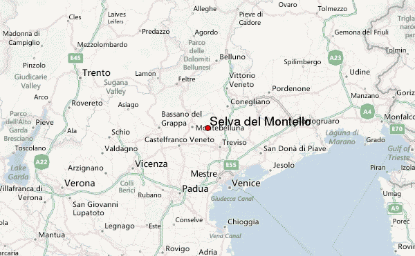 Selva del Montello Weather Forecast