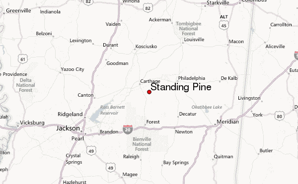 Standing Pine Weather Forecast