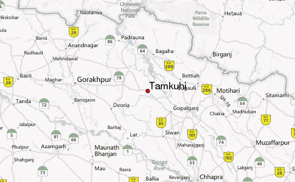 Tamkuhi Weather Forecast