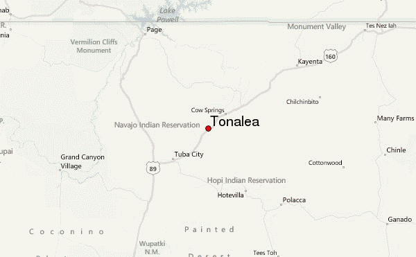 Tonalea Weather Forecast