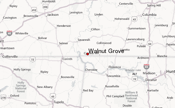 Walnut Grove, Tennessee, United States Weather Forecast