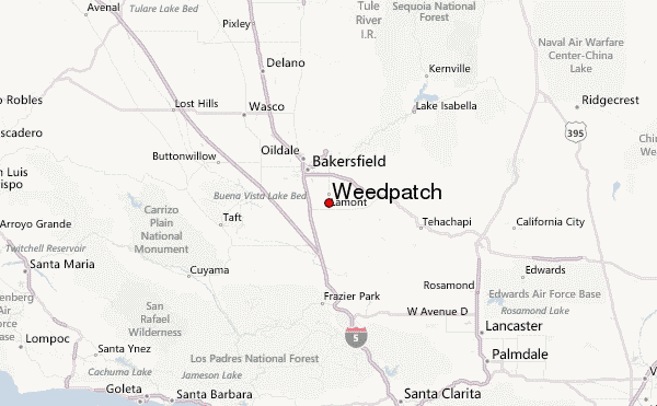 Weedpatch Weather Forecast
