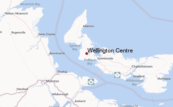 Wellington Centre Weather Forecast