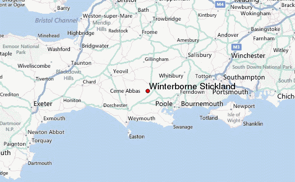 Winterborne Stickland Weather Forecast