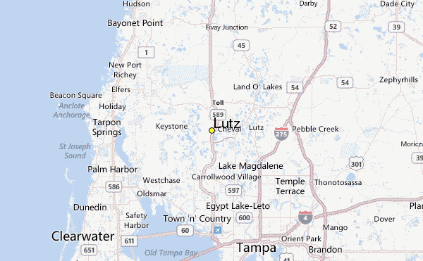 Lutz Weather Station Record - Historical weather for Lutz, Florida